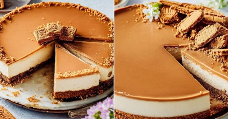 No Bake Lotus Biscoff Cheese Cake Recipe – Simply Cooked Recipes